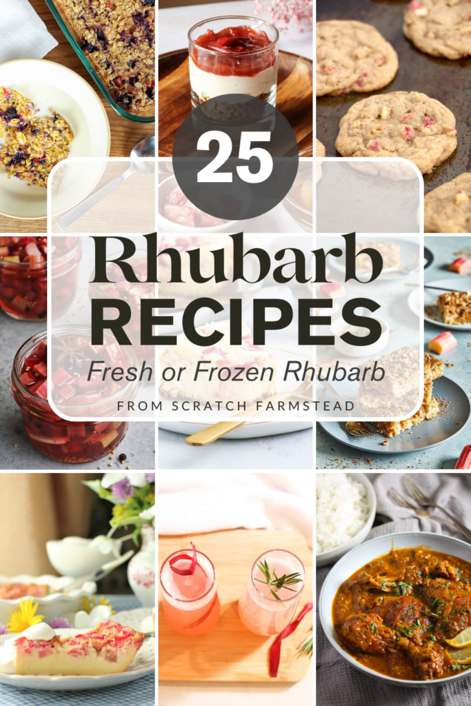 25 Rhubarb Recipes to Think Outside the Box - From Scratch Farmstead